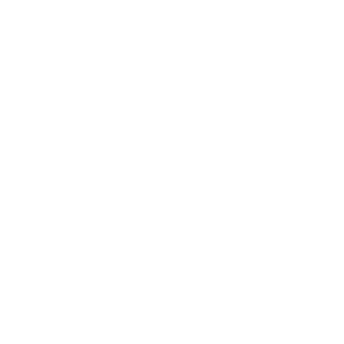 About Us - NEW PLAN DEVELOPMENTS