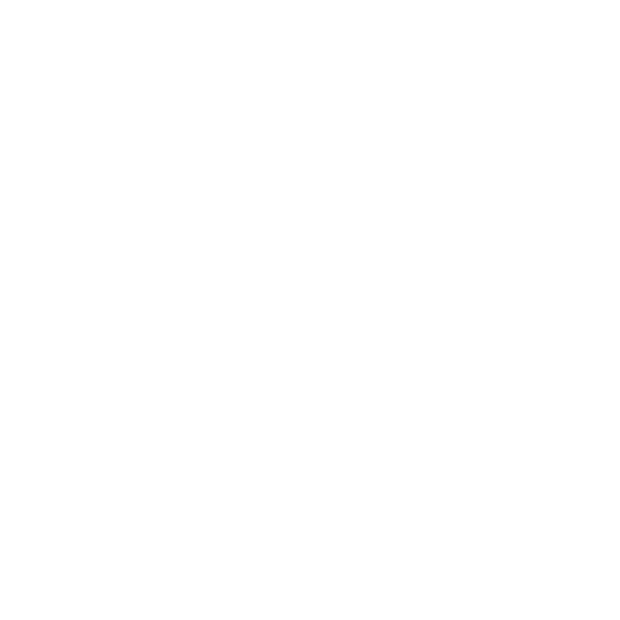 About Us - NEW PLAN DEVELOPMENTS