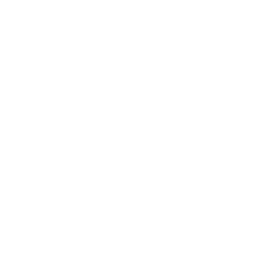 About Us - NEW PLAN DEVELOPMENTS